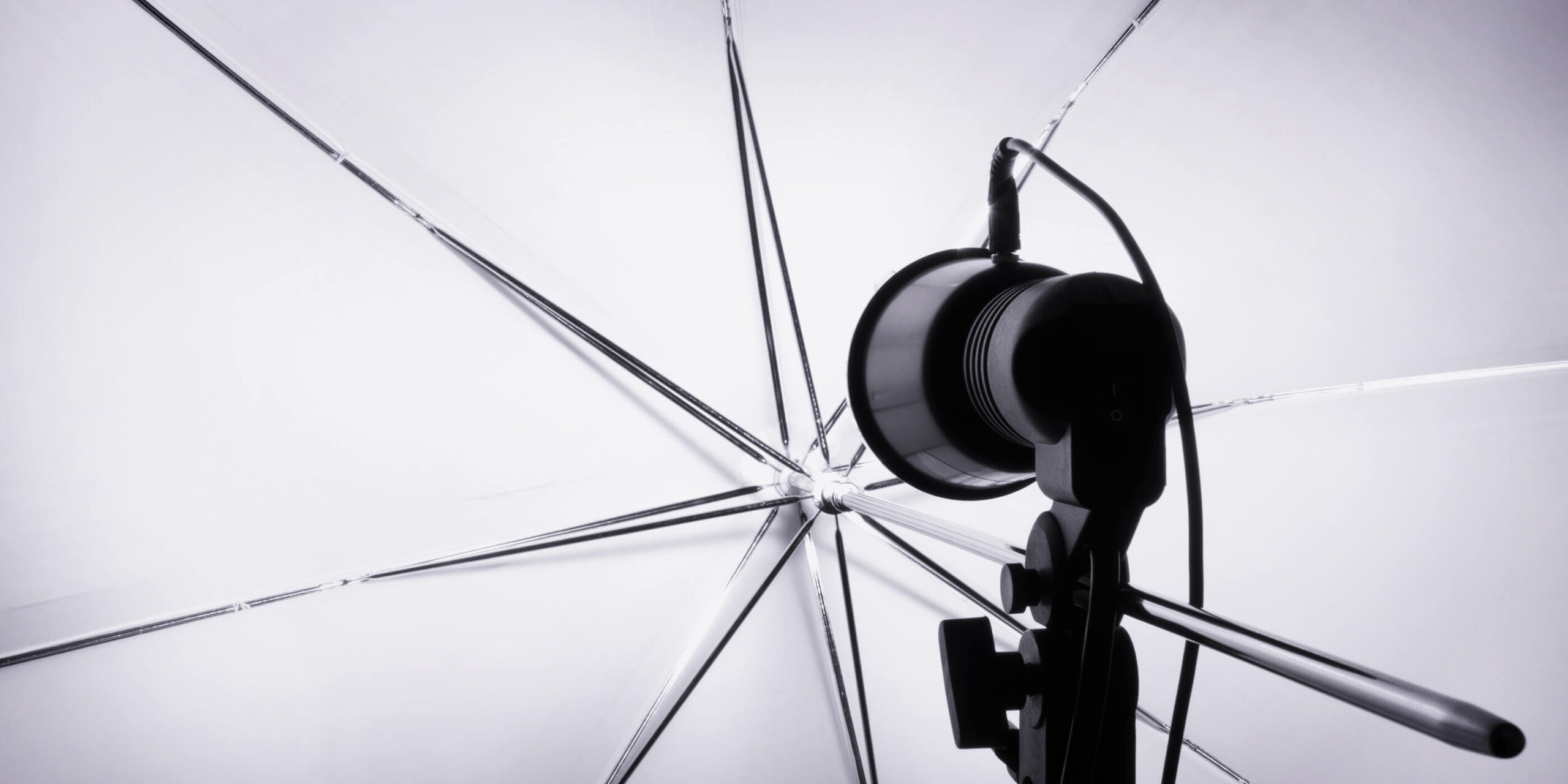 Hong Kong Model Agency - Grandee Model